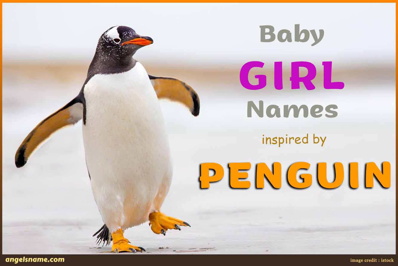 Unique Baby Girl Names That Mean Penguin | Angelsname.com